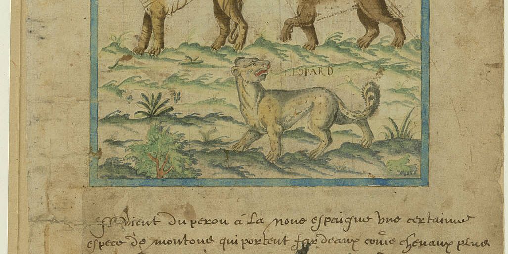 Scientiae Conference • “The Global History of Knowledge” | Events ...