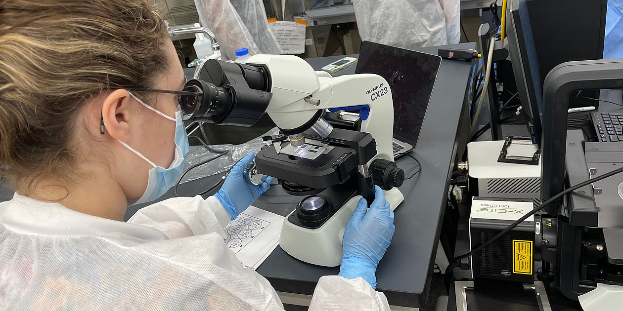 STEM and CRE Courses - Information Session | Events | Brown University